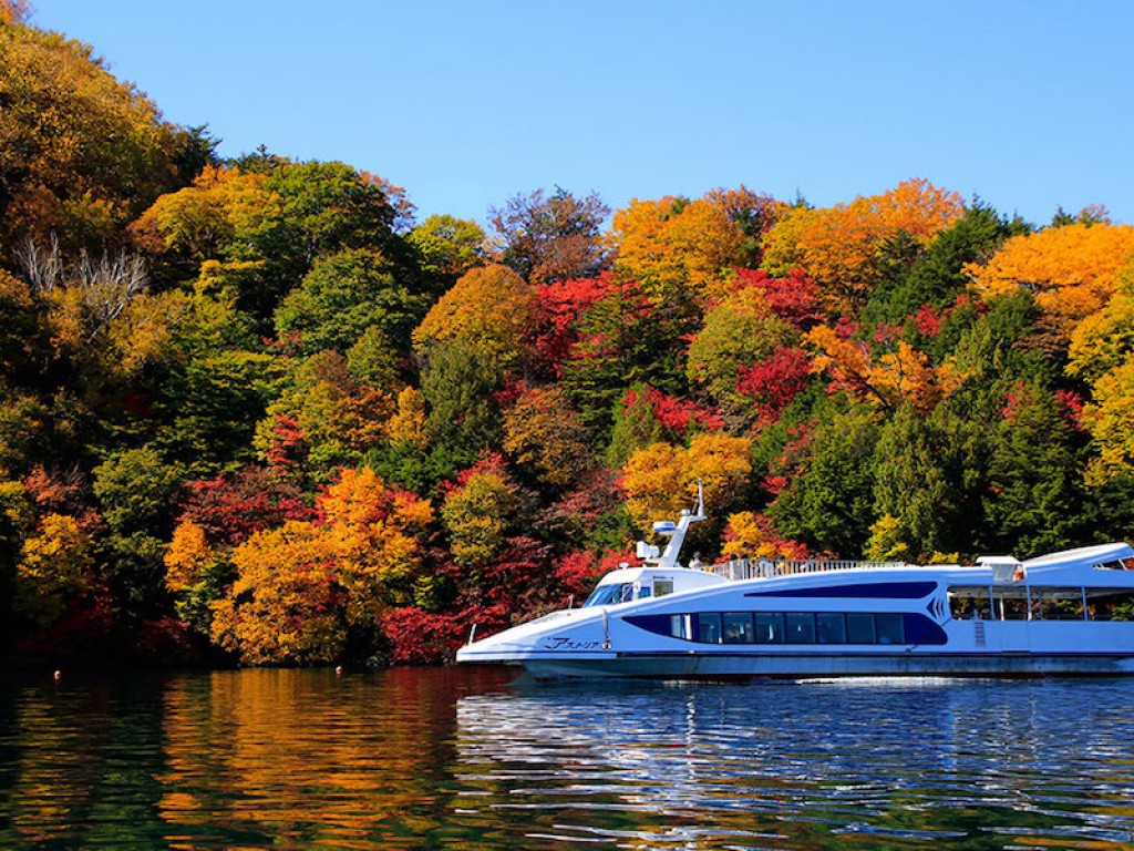 Meet Ninja and See Beautiful Nikko 2 Days Tour Package - Private Tour ...