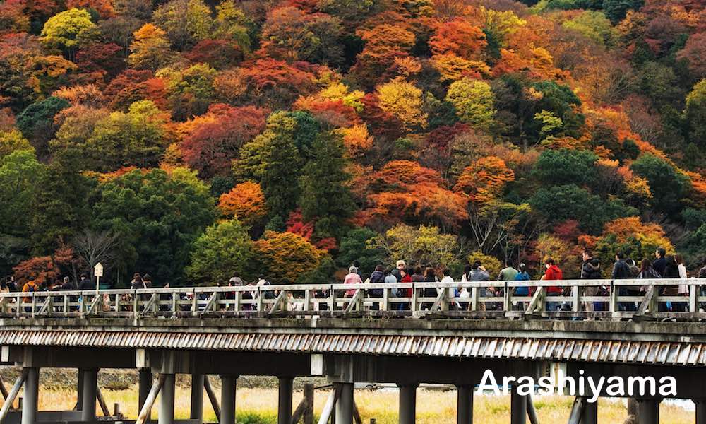 Arashiyama Travel Info - Easy Travel