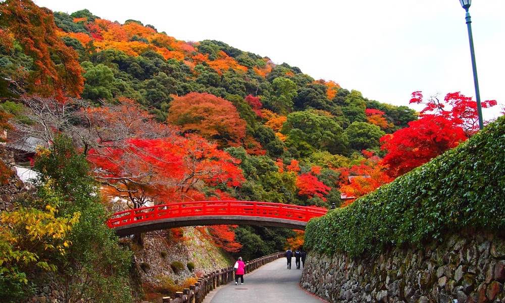 Minoo Park Travel Info - Easy Travel Japan